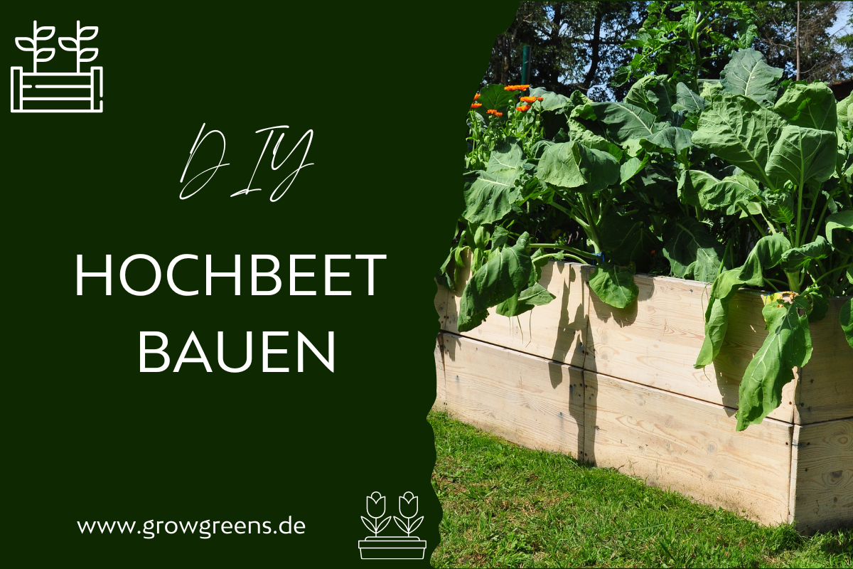 Hochbeet selber bauen - Dein DIY Hochbeetv – Growgreens